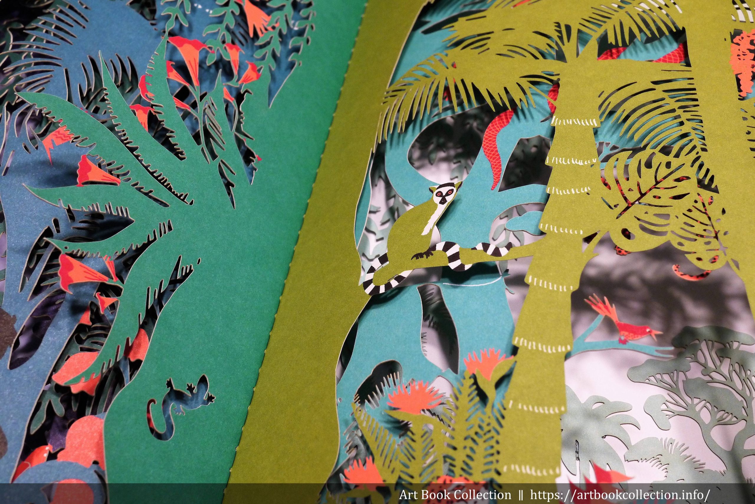 【開箱．紙藝書】Hélène Druvert｜Garden Jungle - Art Book Collection