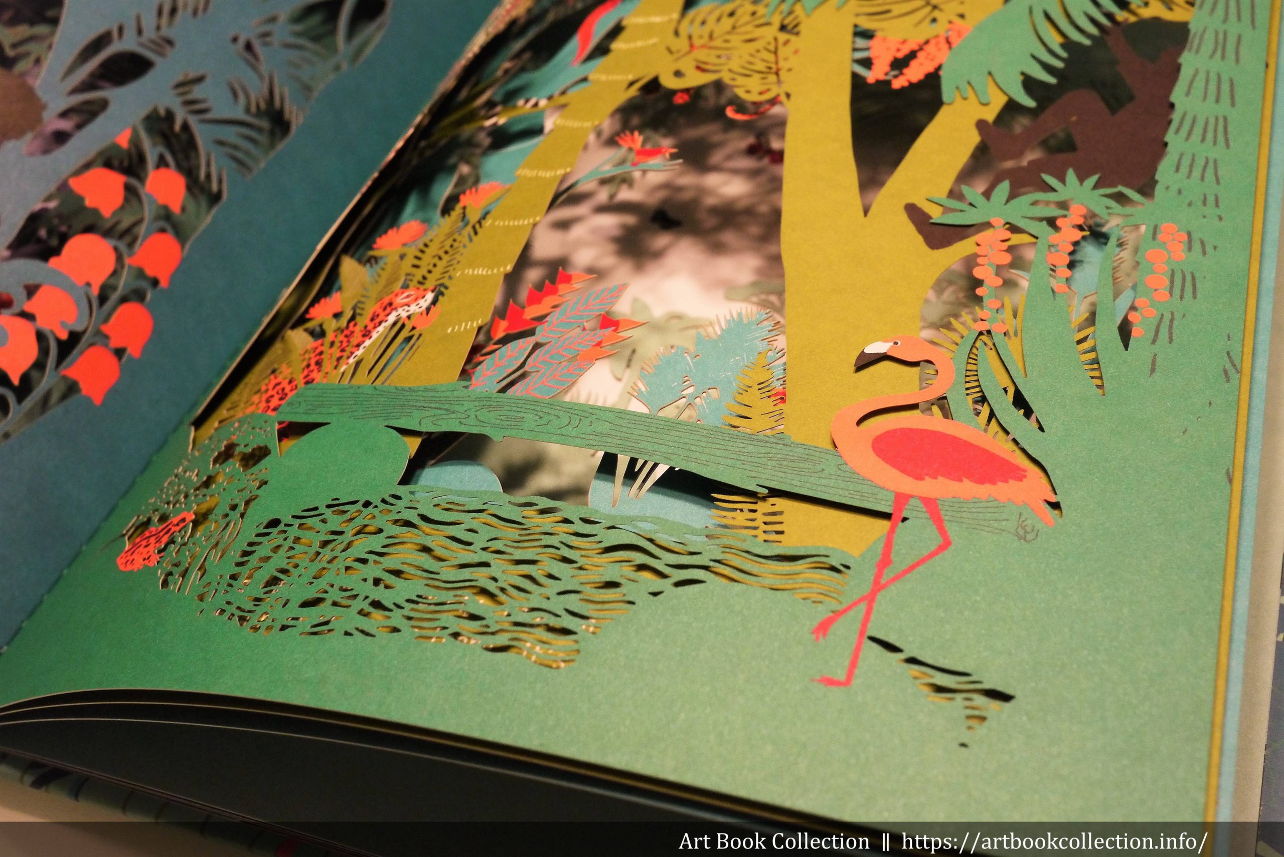 【開箱．紙藝書】Hélène Druvert｜Garden Jungle - Art Book Collection