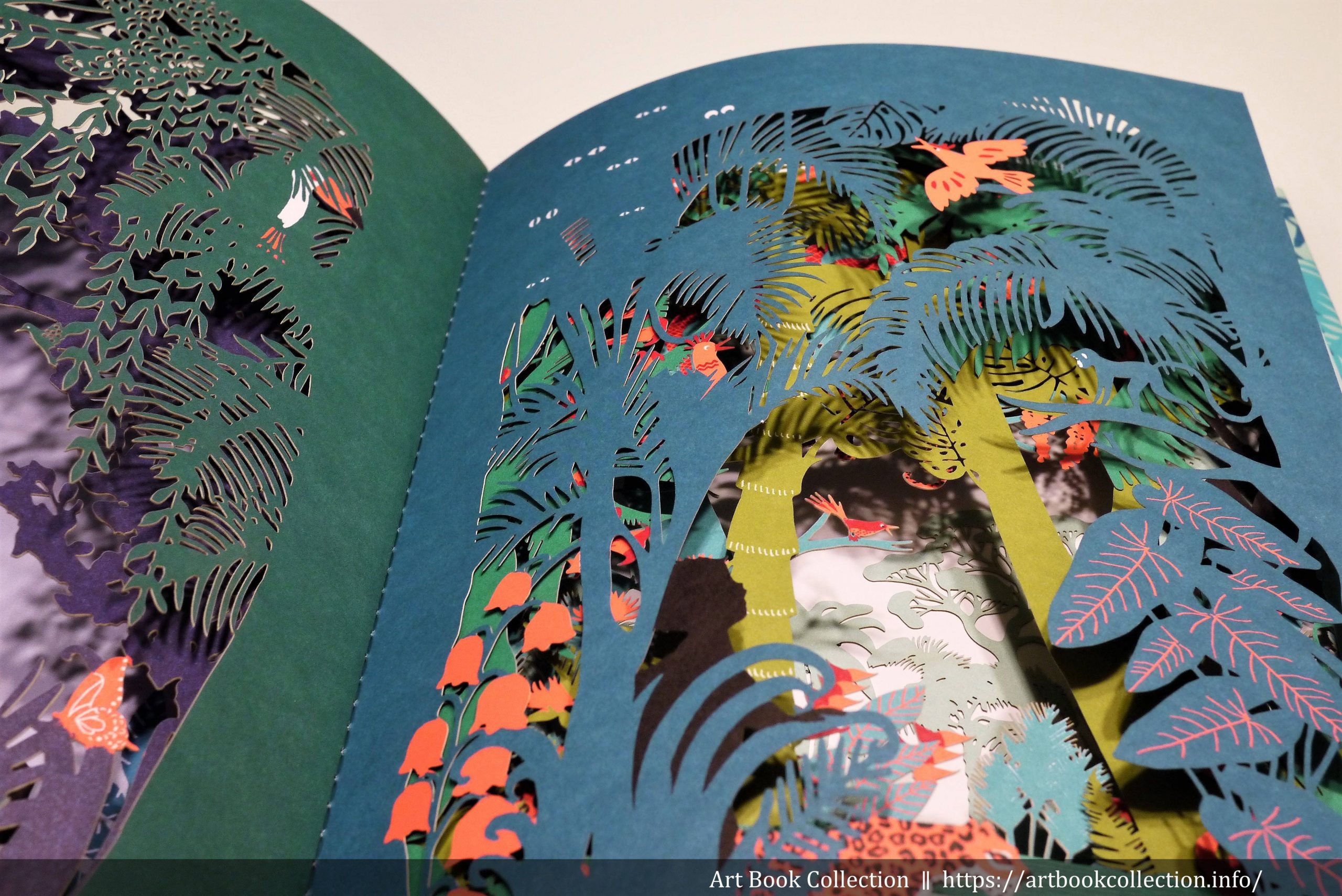 【開箱．紙藝書】Hélène Druvert｜Garden Jungle - Art Book Collection