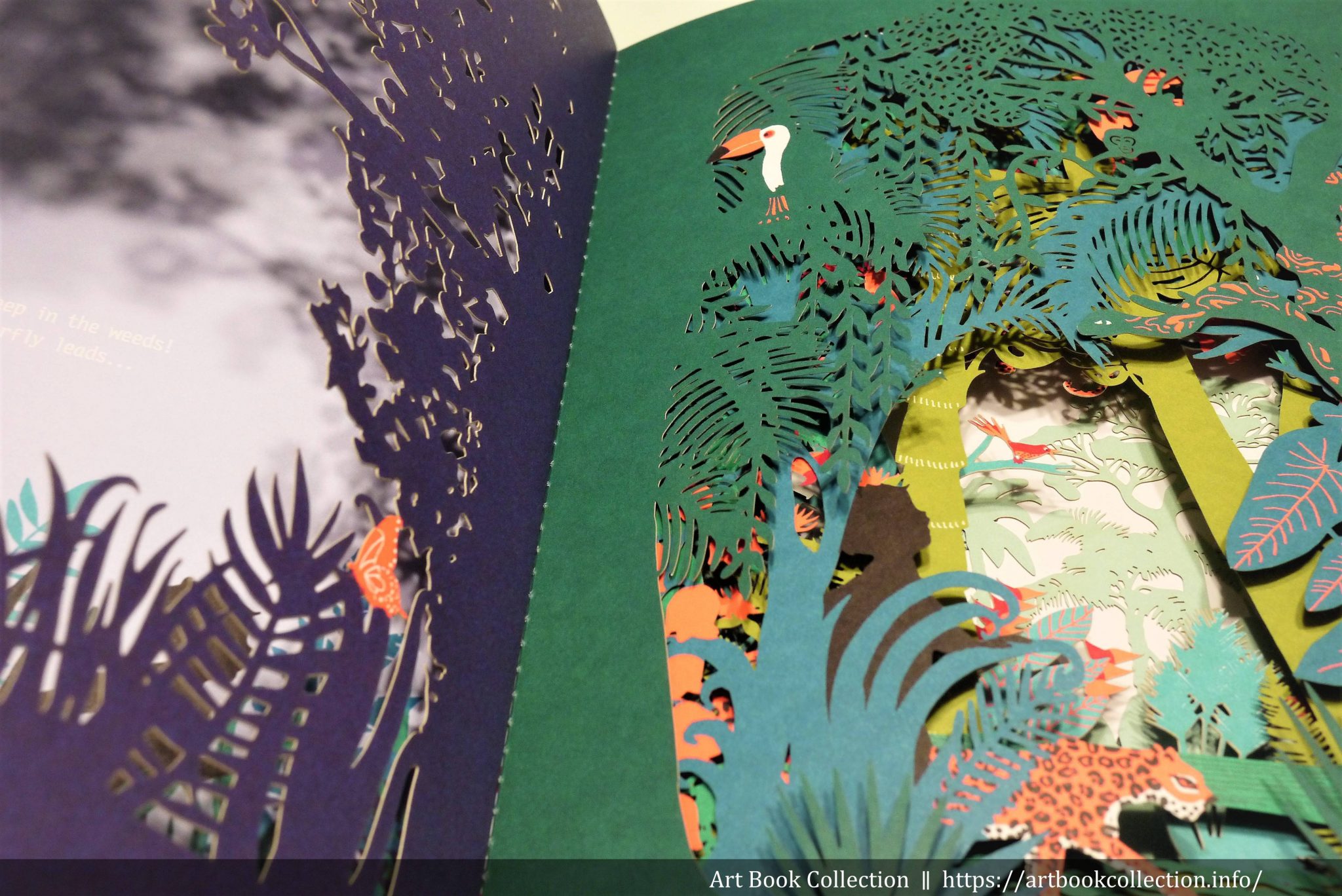 【開箱．紙藝書】Hélène Druvert｜Garden Jungle - Art Book Collection