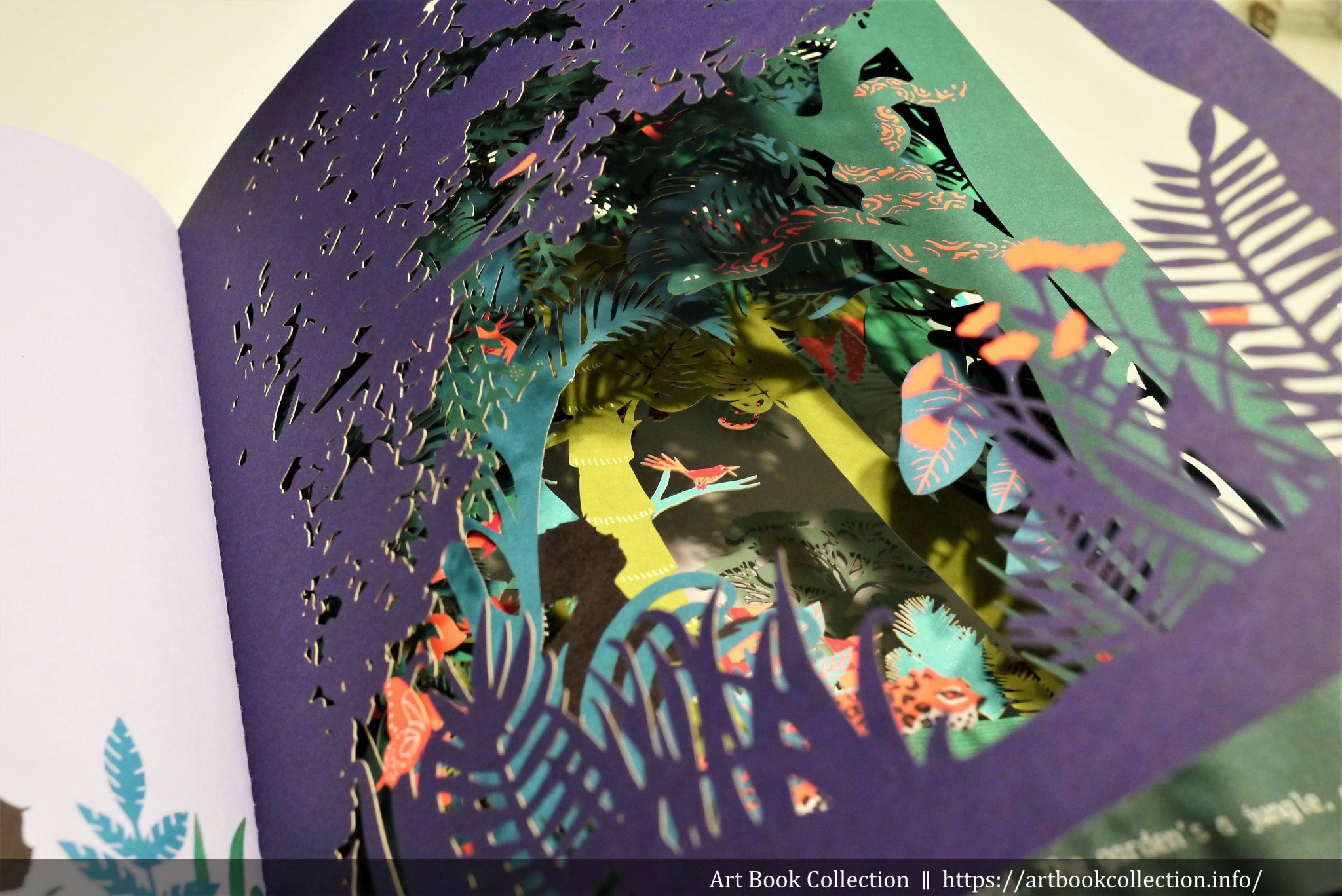 【開箱．紙藝書】Hélène Druvert｜Garden Jungle - Art Book Collection