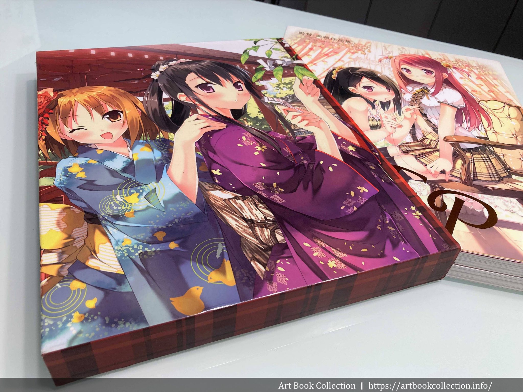 【開箱．畫集】監督 カントク｜STEP：監督典藏作品集 - Art Book Collection