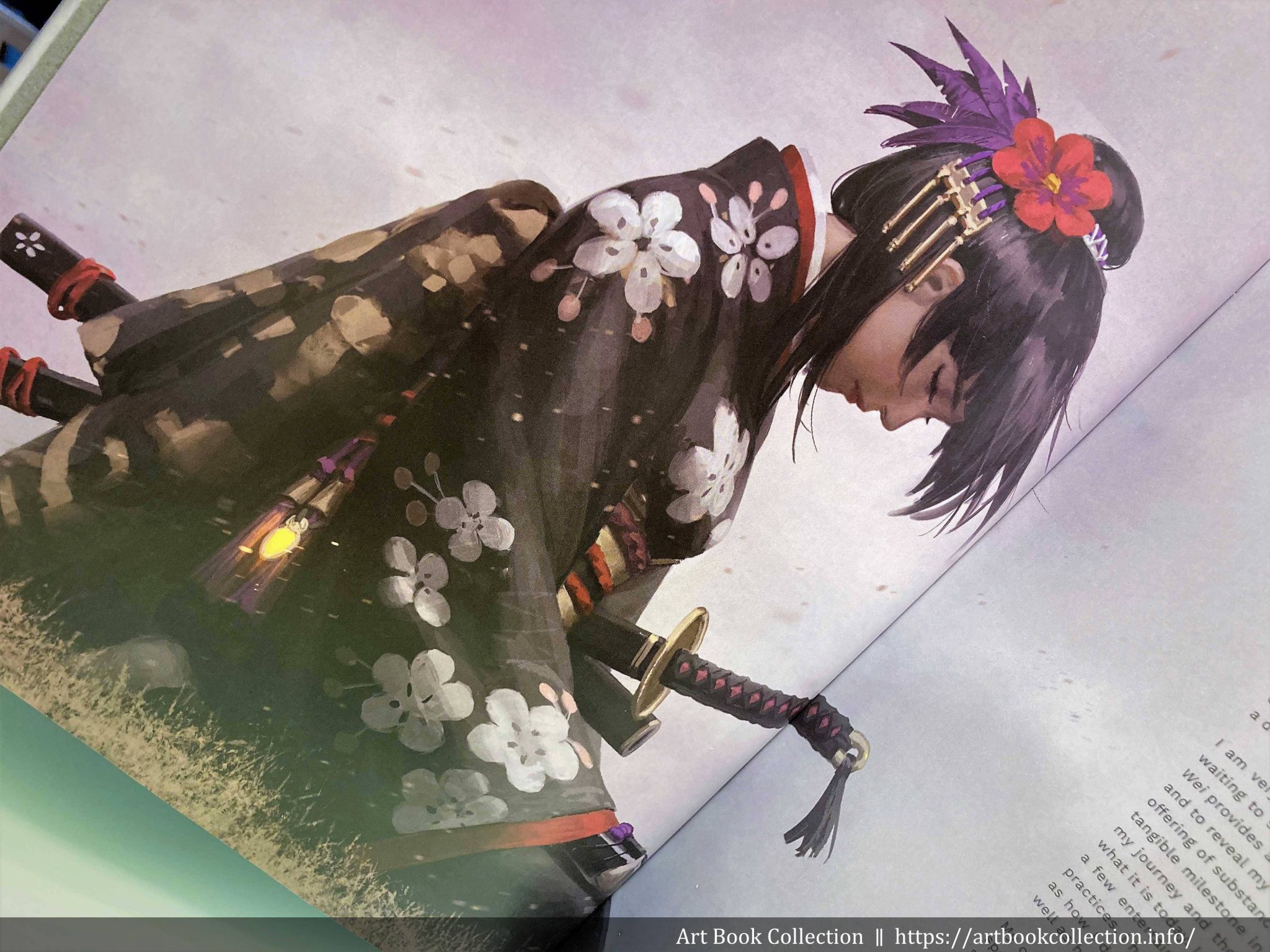 【開箱．畫集】Gu Zheng Wei 炜炜｜Guweiz: The Art of Gu Zheng Wei - Art Book ...