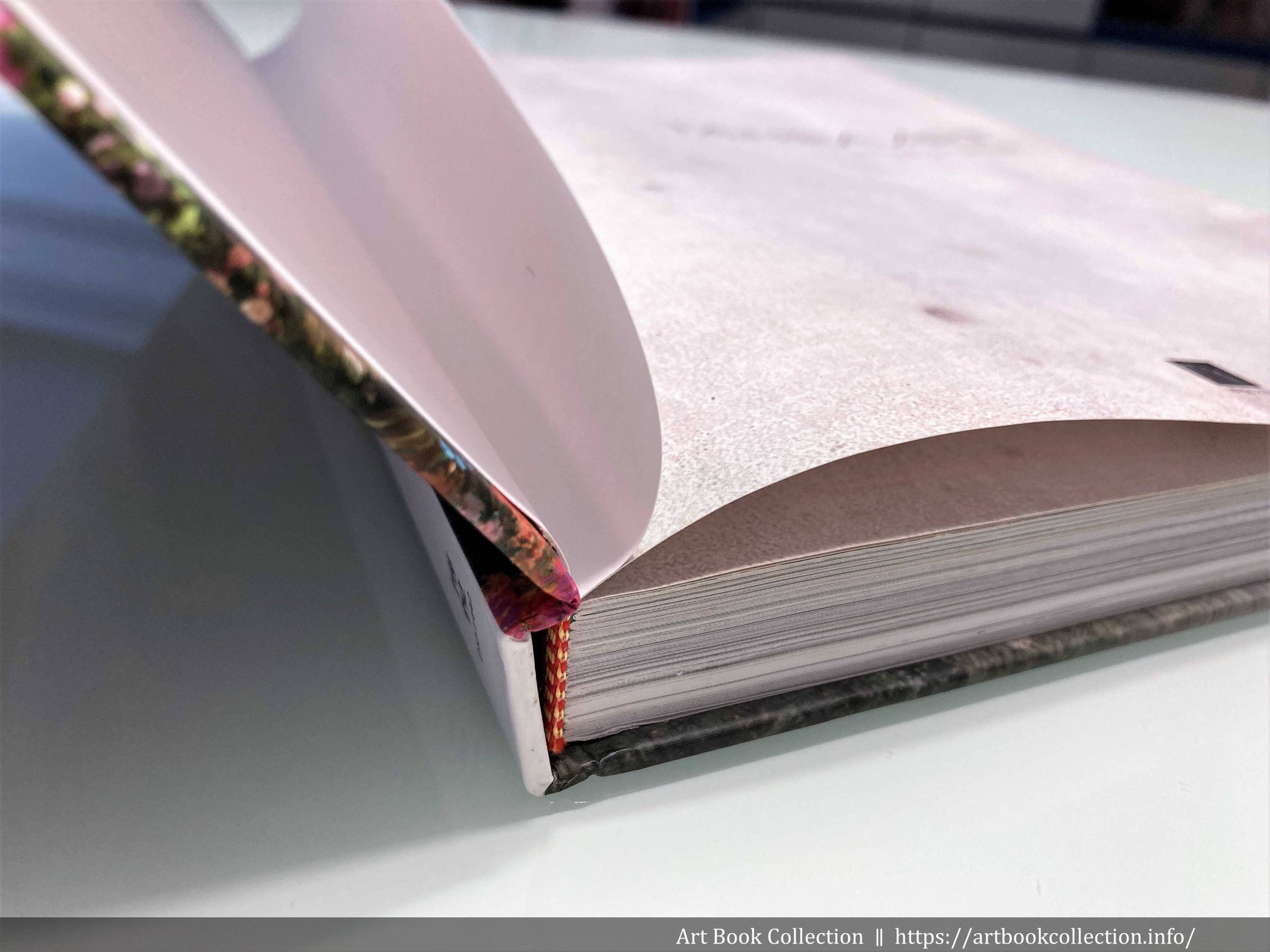 【開箱．畫集】Kim Kyoung Hwan｜師法國際奇幻插畫大師：TAHRA ART - Art Book Collection