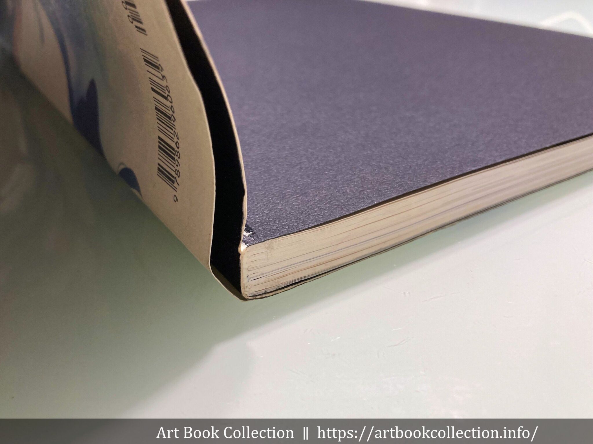 【開箱．畫集】深草｜幻華鏡：深草個人畫集 - Art Book Collection