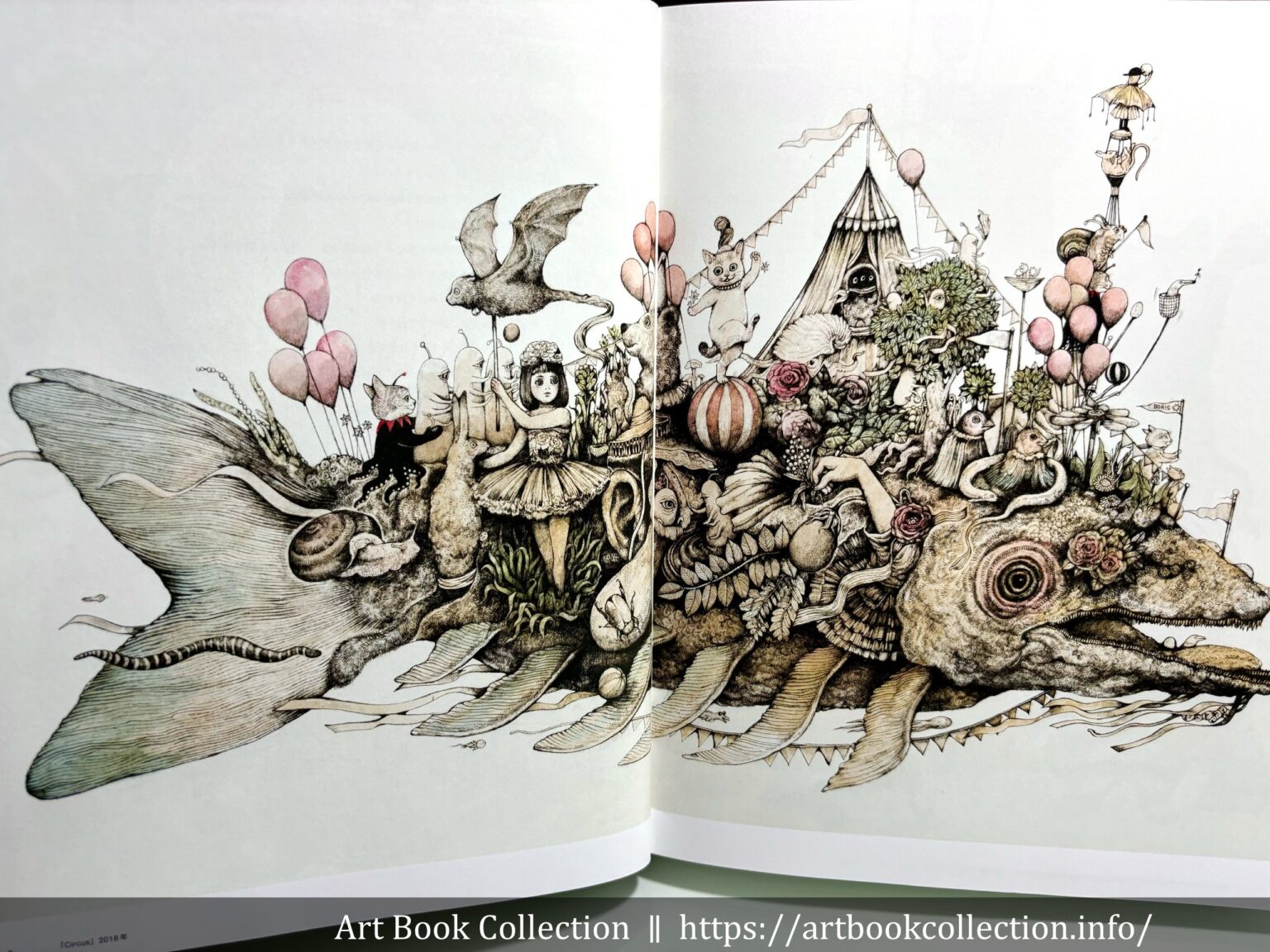 【開箱．畫集】樋口裕子｜CIRCUS：ヒグチユウコ 畫集（展覽限定中文版） - Art Book Collection