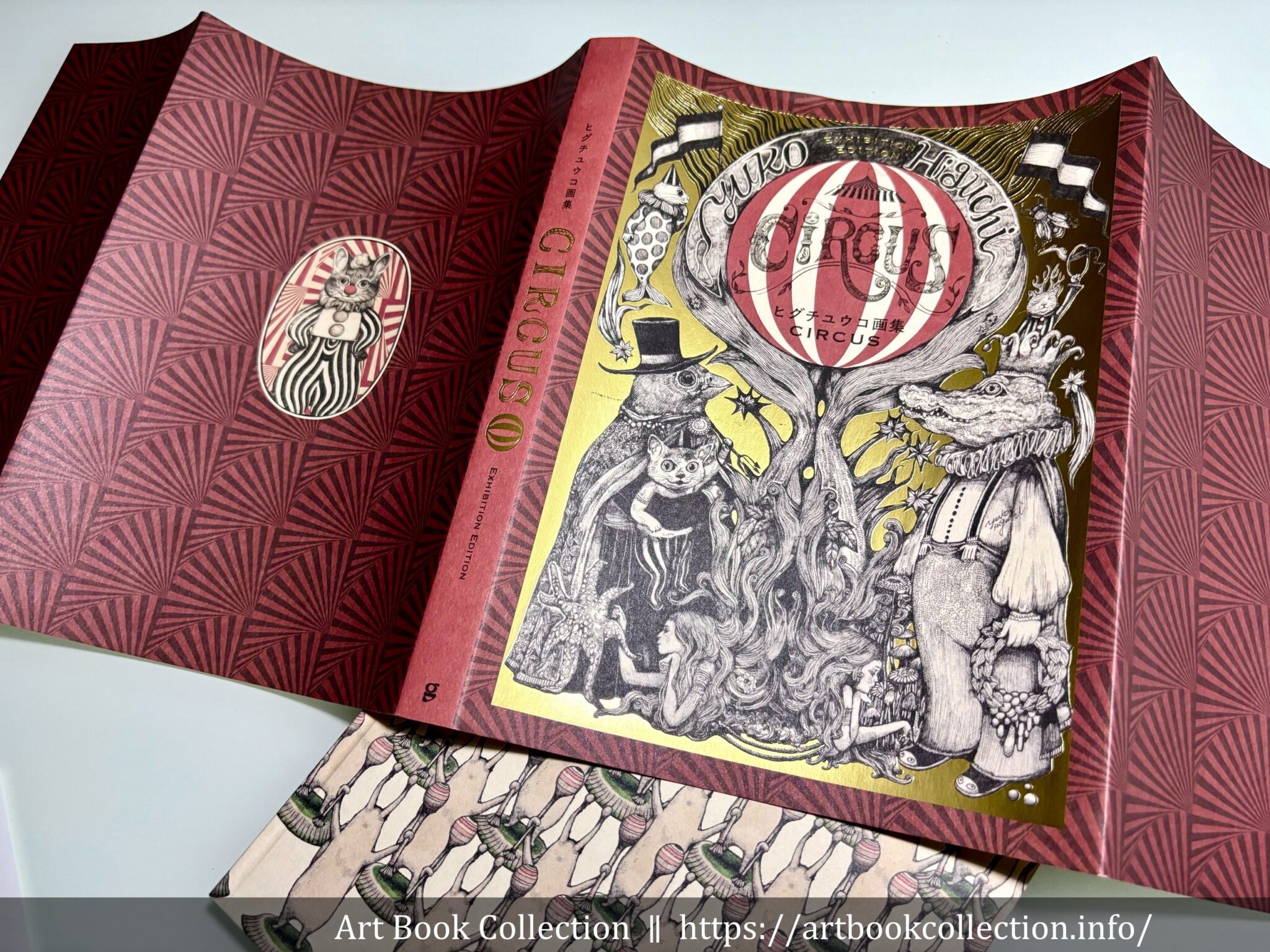 【開箱．畫集】樋口裕子｜CIRCUS：ヒグチユウコ 畫集（展覽限定中文版） - Art Book Collection