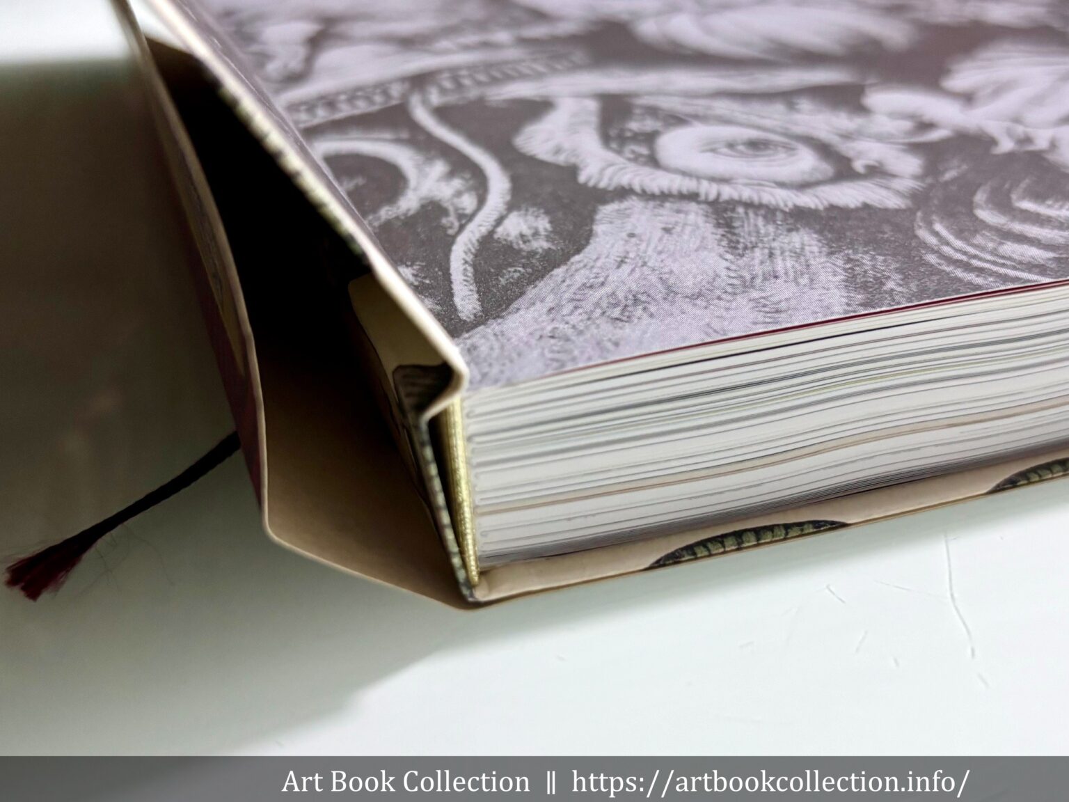 【開箱．畫集】樋口裕子｜CIRCUS：ヒグチユウコ 畫集（展覽限定中文版） - Art Book Collection