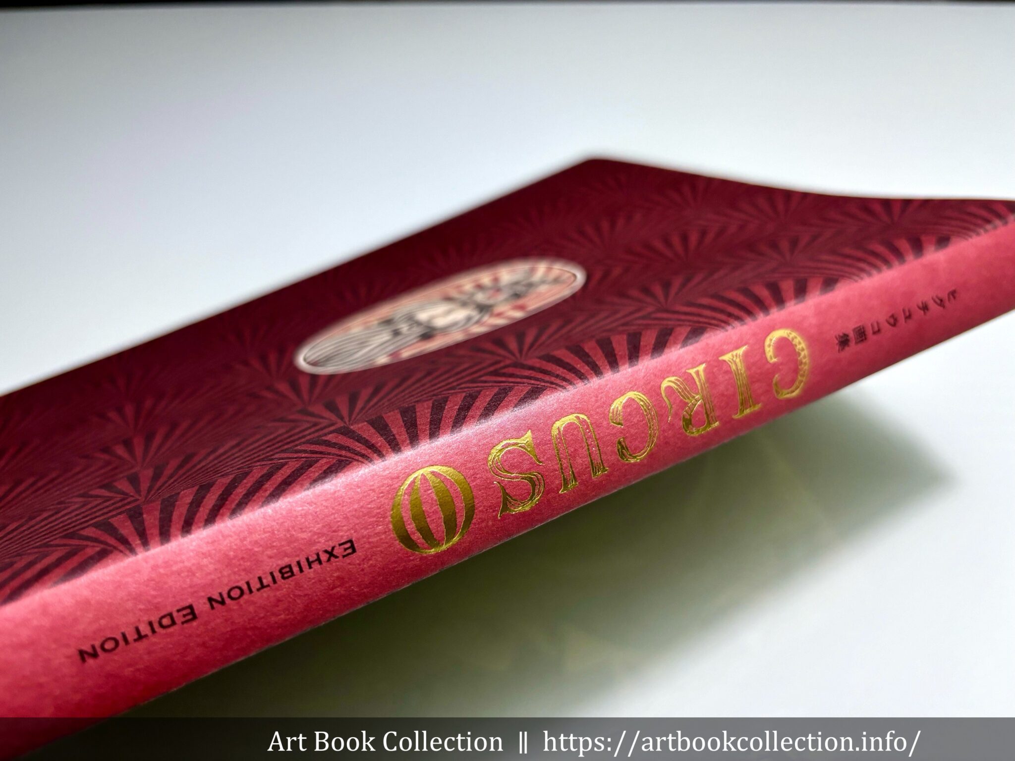 【開箱．畫集】樋口裕子｜CIRCUS：ヒグチユウコ 畫集（展覽限定中文版） - Art Book Collection