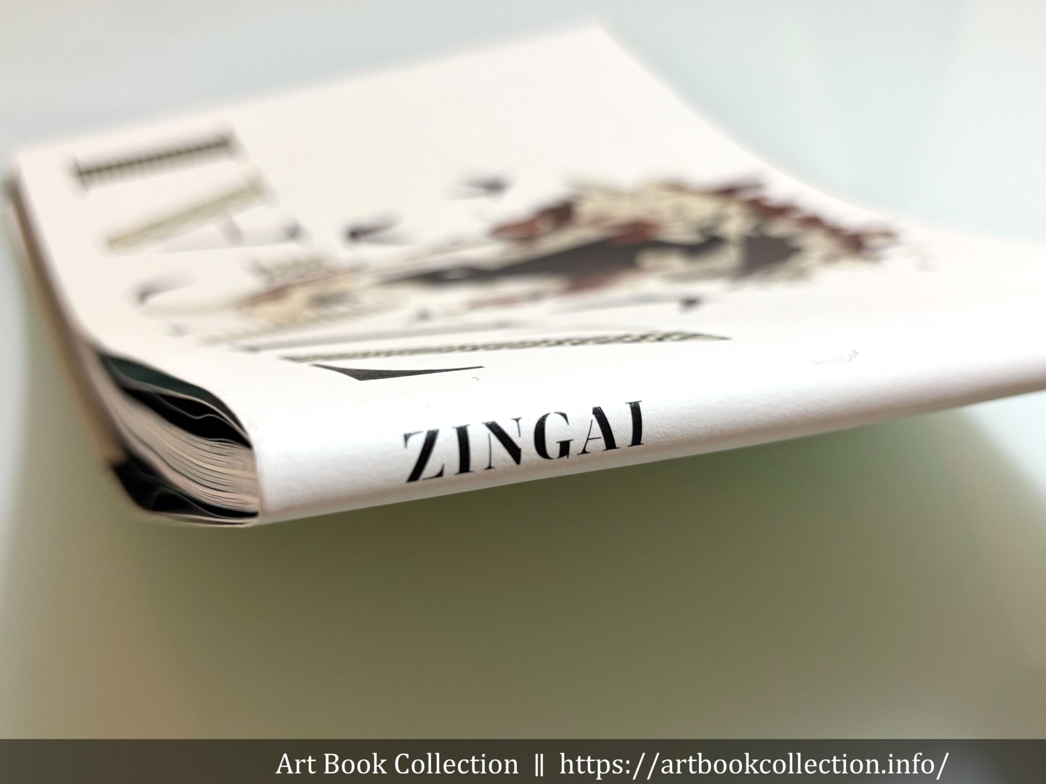 【開箱．畫集】Eve｜ZINGAI：Eve 公式插畫集（附 CD） - Art Book Collection