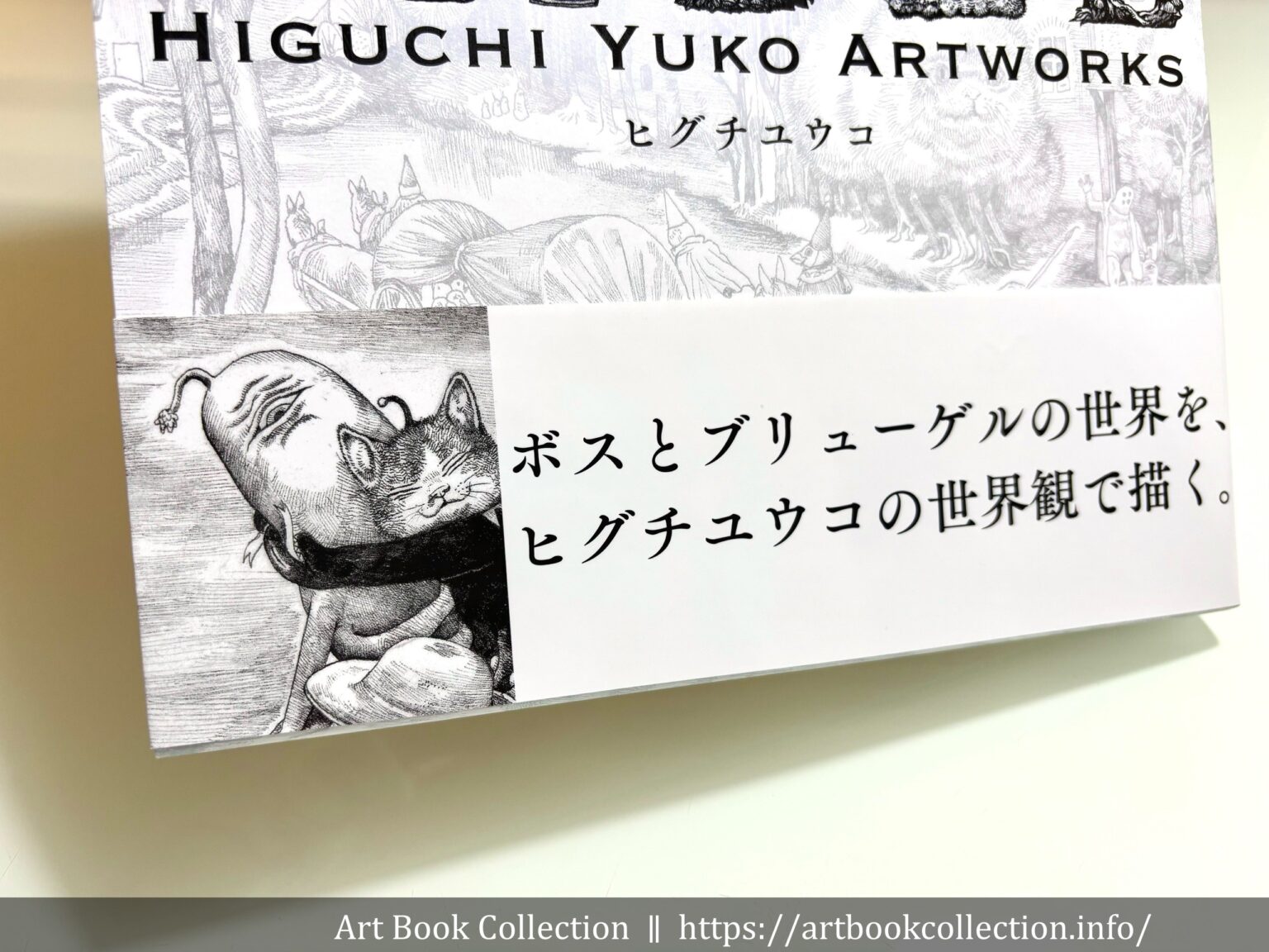 【開箱．畫集】樋口裕子｜BABEL：Higuchi Yuko Artworks 插畫精選集 - Art Book Collection