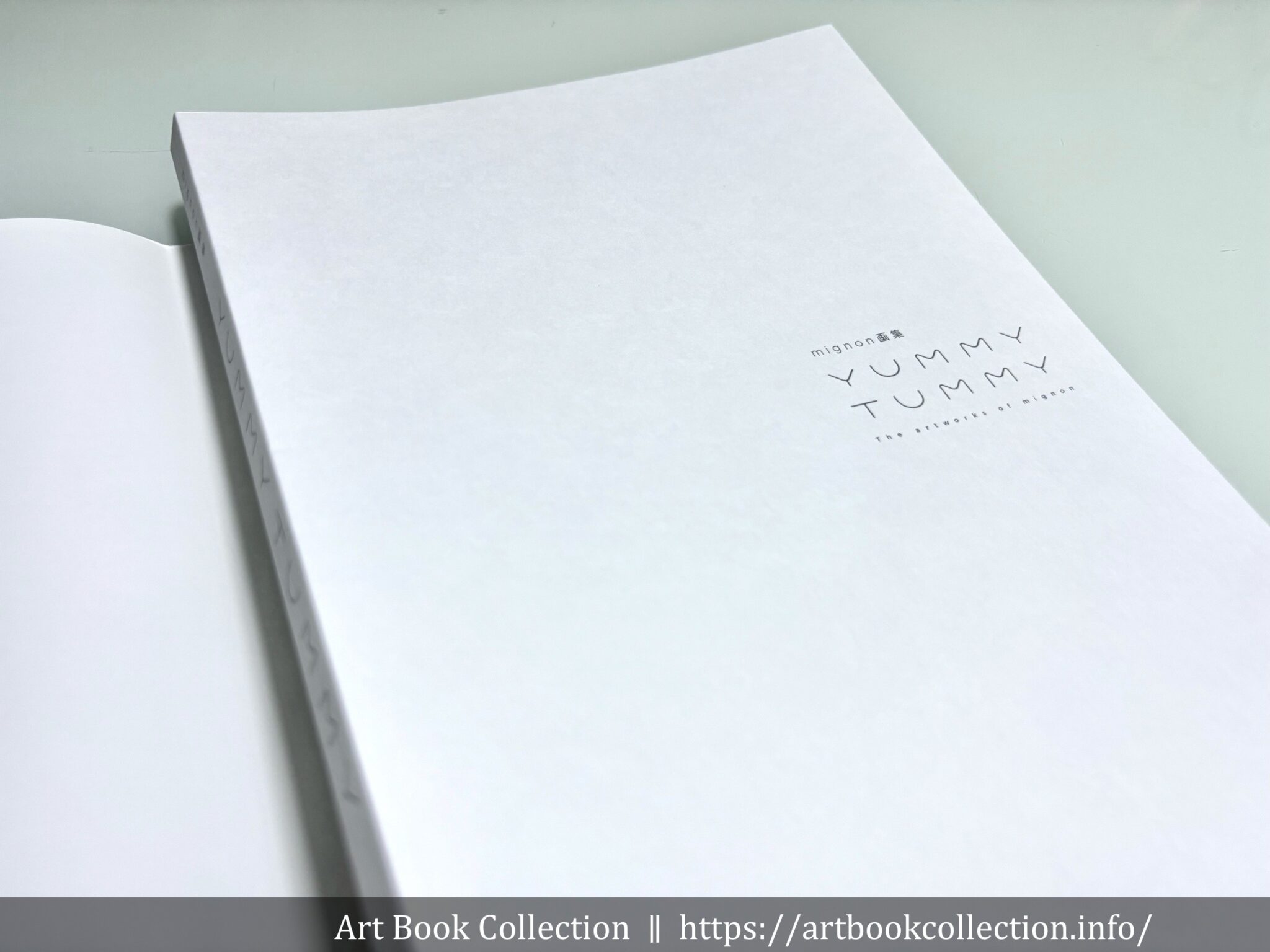 【開箱．畫集】ミニョン｜mignon 畫集：YUMMY TUMMY - Art Book Collection