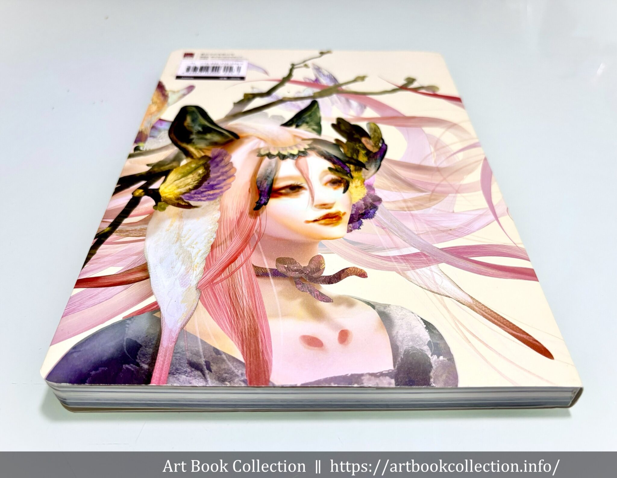 【開箱．畫集】Blaze Wu《吳布雷茲．双甡》 - Art Book Collection