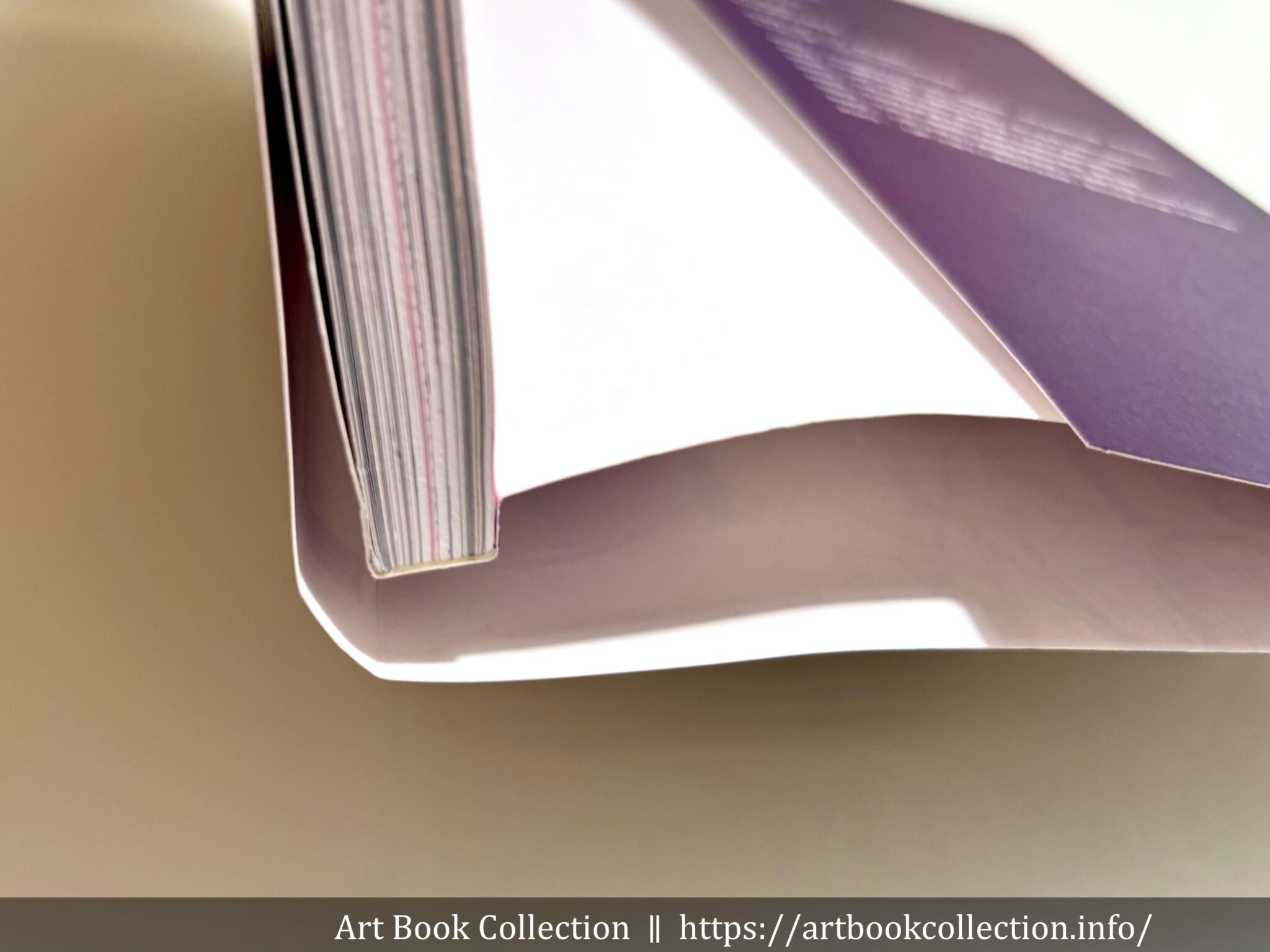 【開箱．漫畫集】Eli Lin 依萊《羅賽塔：盛宴餘燼》 - Art Book Collection