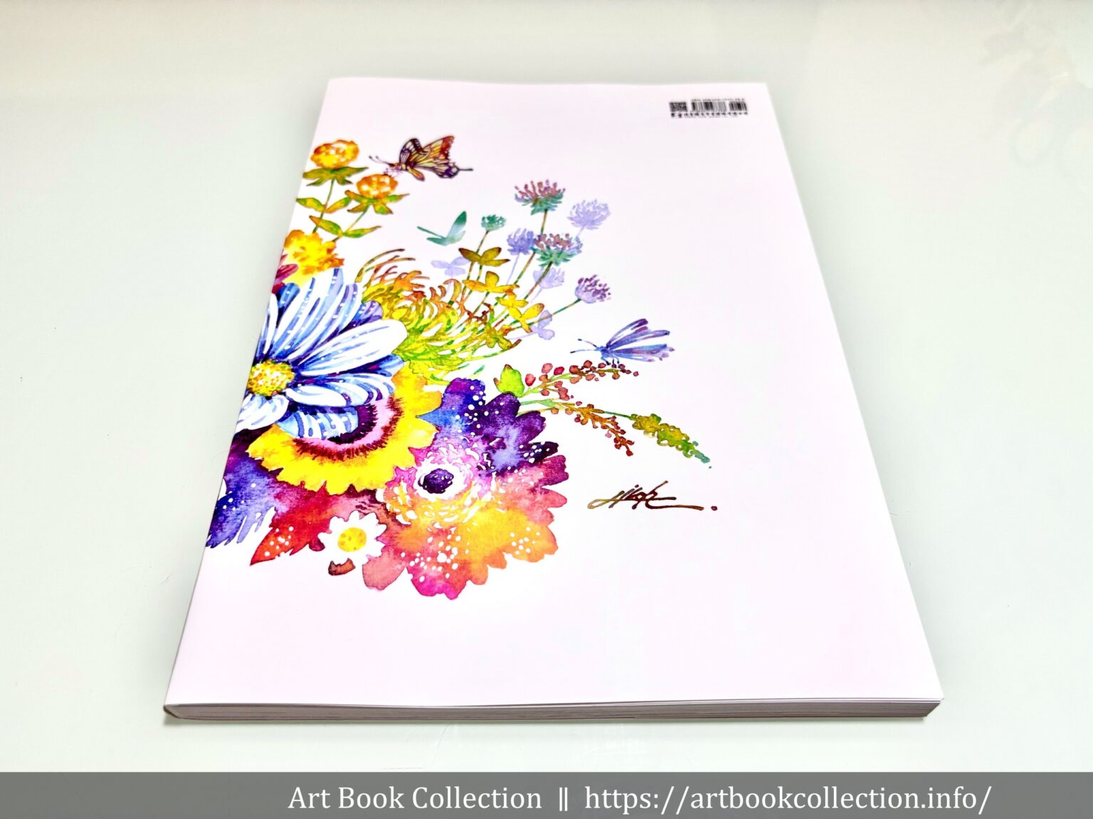 【開箱．畫集】武多弘樹《武多弘樹作品集：Colors of Life》 - Art Book Collection